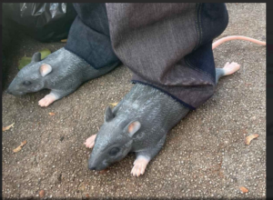 Diseñador crea sandalias de rata; así luce el polémico calzado - 91 DAT